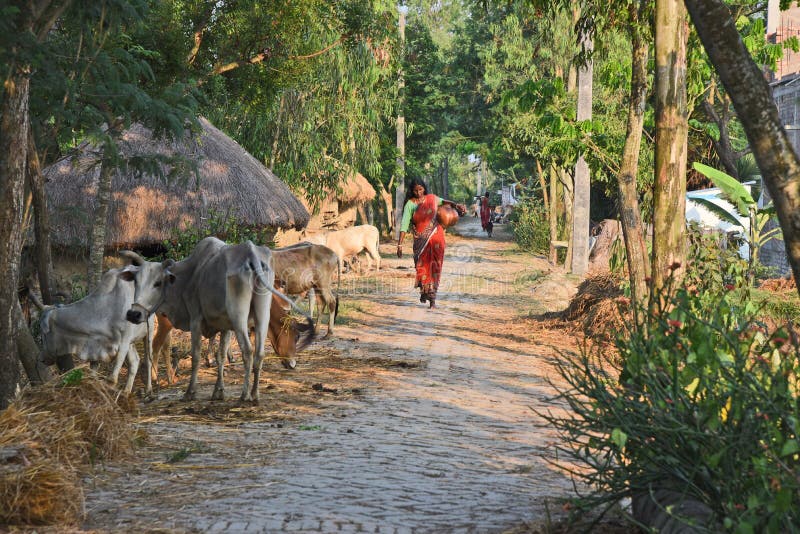 Estilo de vida rural foto de stock editorial. Imagem de remoto - 62926413