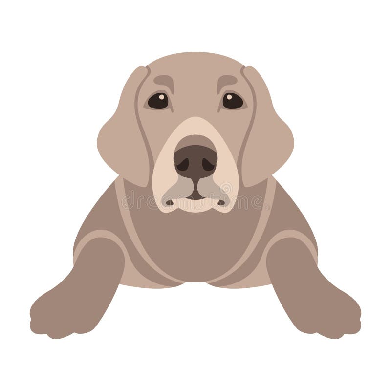 Estilo Del Ejemplo Del Vector De La Cara Del Perro De Perrito Plano ...