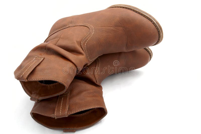 Montura Inglesa Del Caballo Del Estilo Imagen de archivo - Imagen de ...