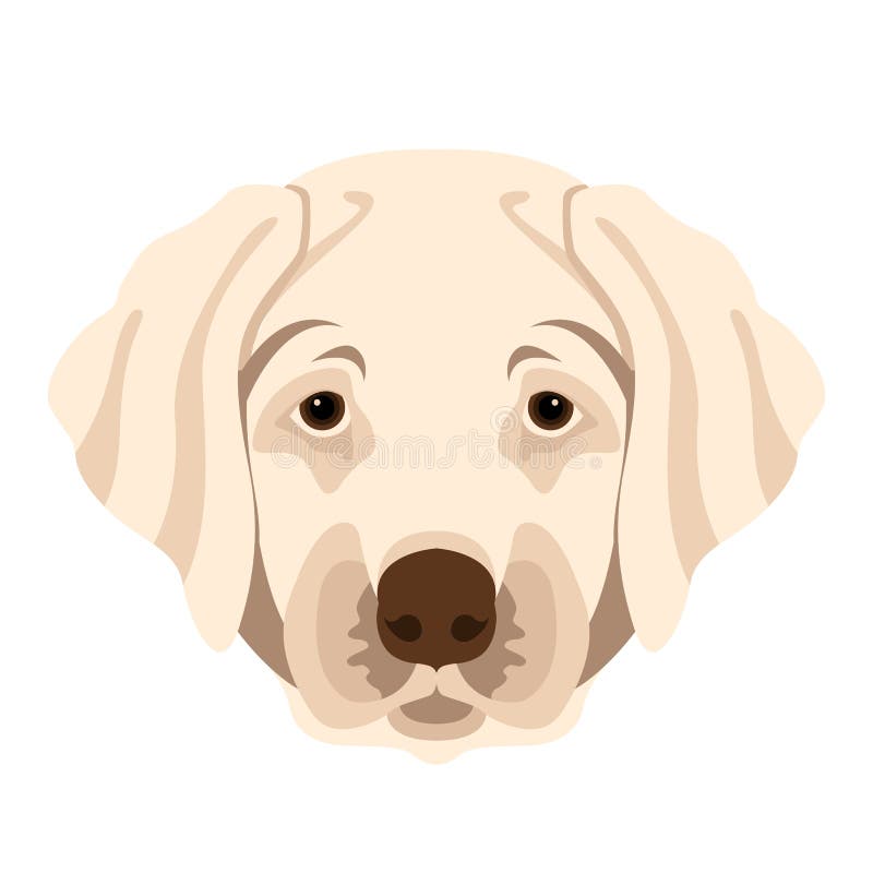 Persiga El Estilo Plano Del Ejemplo Del Vector De La Cabeza De La Cara ...