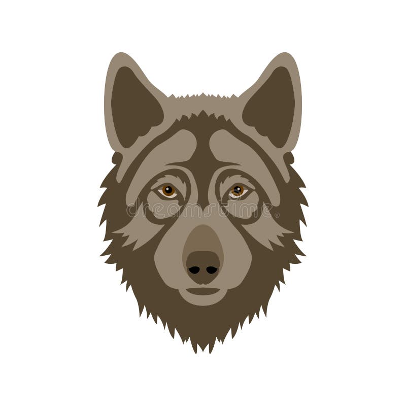 Estilo Principal Del Ejemplo Del Vector Del Lobo Plano Ilustración del ...