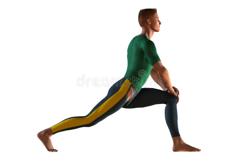 Estiramiento Ilustraciones Stock, Vectores, Y Clipart – (107,008 ...