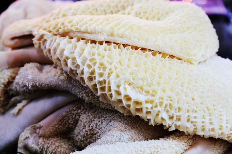 Estomac Ou Bonnet Du ` S De Vache Image stock - Image du vaches, viande ...