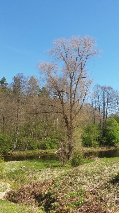 Estonian Hot Spring Stock Photos - Free & Royalty-Free Stock Photos ...