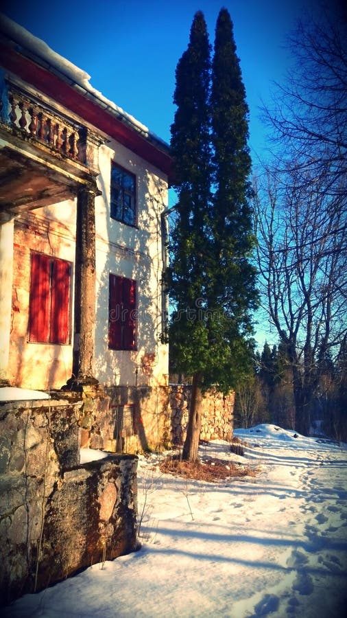 Estonian nature stock photo. Image of snow, sunnyday - 74587222