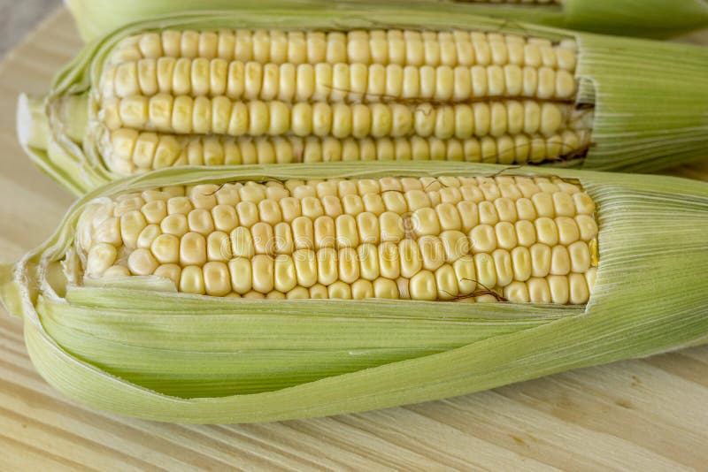 Estreita De Espiga De Milho Cru Com Palha Sobre Fundo Branco Imagem de ...