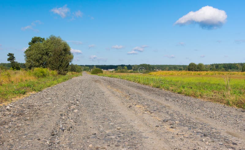 Estrada Do Macadame Do País Imagem de Stock - Imagem de planta, terra ...