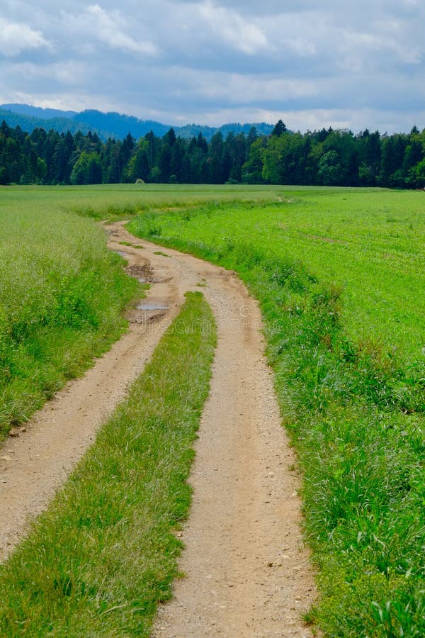Estrada Rural Coberta Com As Telhas Quebradas Foto de Stock - Imagem de ...