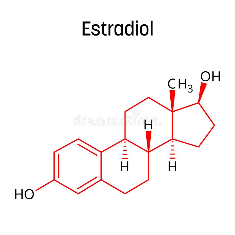 Estradiol Structural Formula Of Molecular Structure Stock Illustration