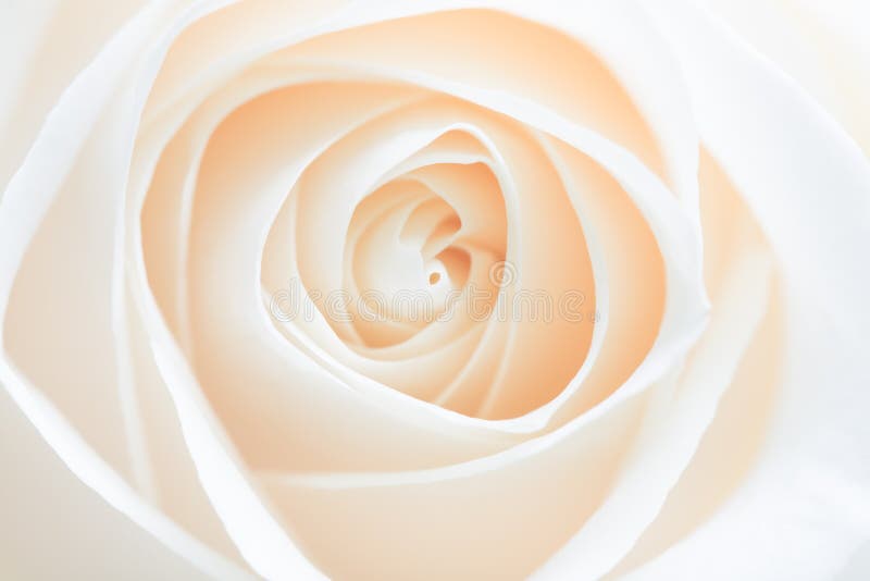 Tromba Jazz Smoke astratta fotografia stock. Immagine di estratto ...