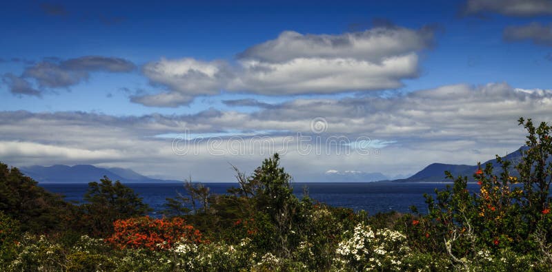 Estrecho De Magallanes, Patagonia, Chile Foto de archivo - Imagen de ...