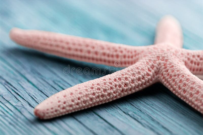 2,663 Fotos de Stock de Estrela Do Mar Cor De Rosa Da Praia - Fotos de ...