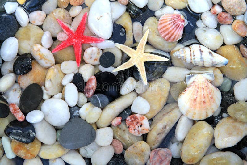 Estrela Do Mar, Concha Do Mar, E Pedras Coloridas Do Seixo Foto de ...