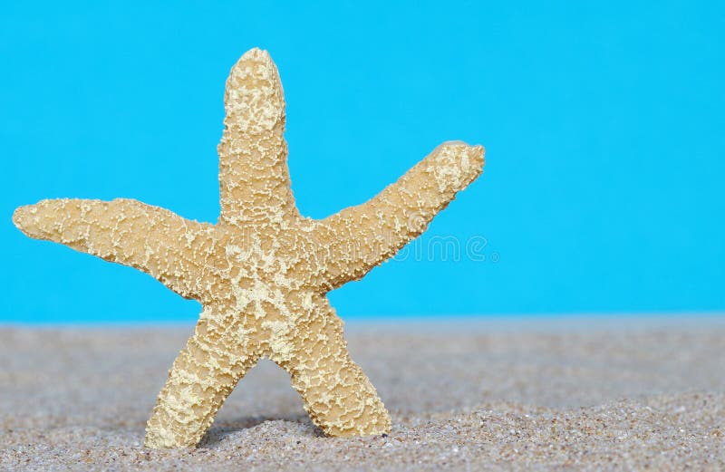 Estrella de mar en arena imagen de archivo. Imagen de verano - 107234519