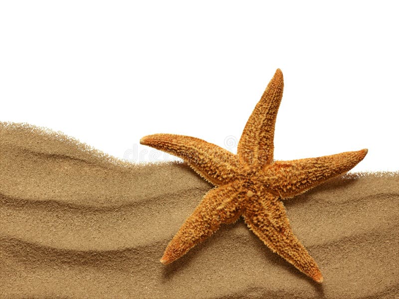 Estrellas De Mar En La Arena De La Playa Foto de archivo - Imagen de ...