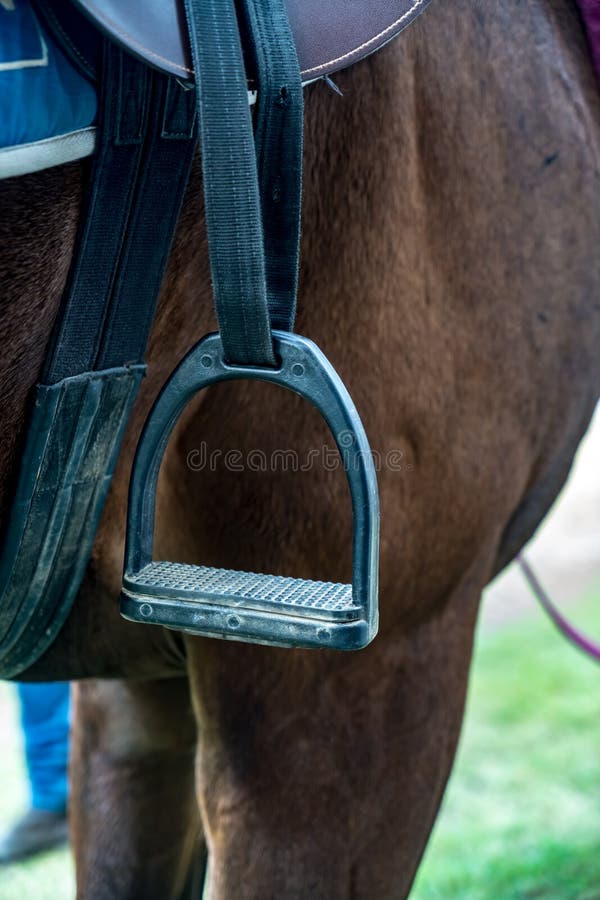 Estribo no cavalo imagem de stock. Imagem de sela, cavalo - 36153849