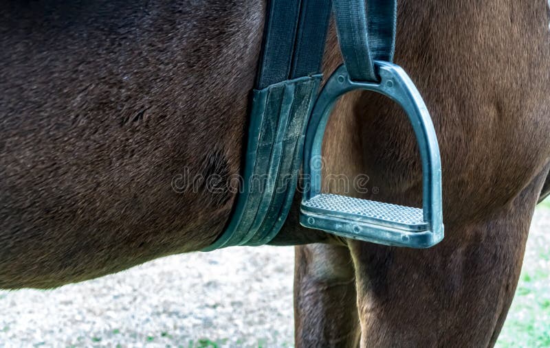 Estribo no cavalo imagem de stock. Imagem de sela, cavalo - 36153849