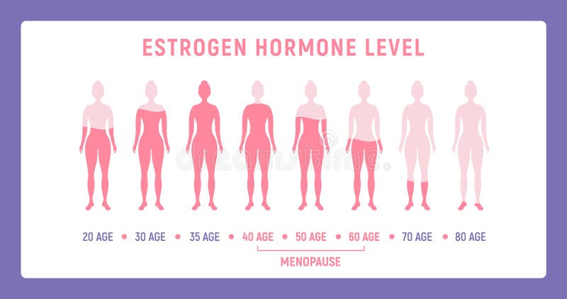 Menopause And Andropause Stock Vector Illustration Of Body 109718389