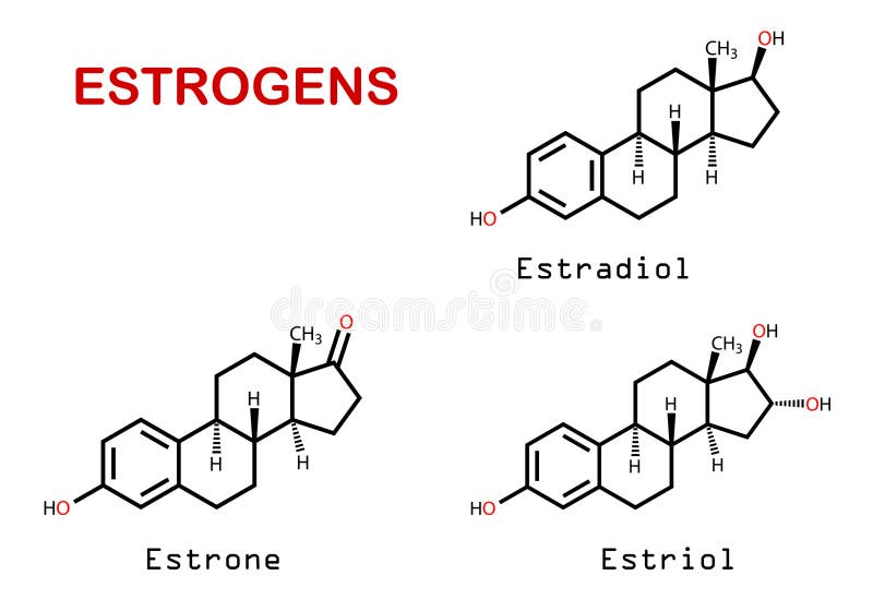 Formule Moléculaire Dhormones Doestrogène Symbole Dhormone Sexuelle