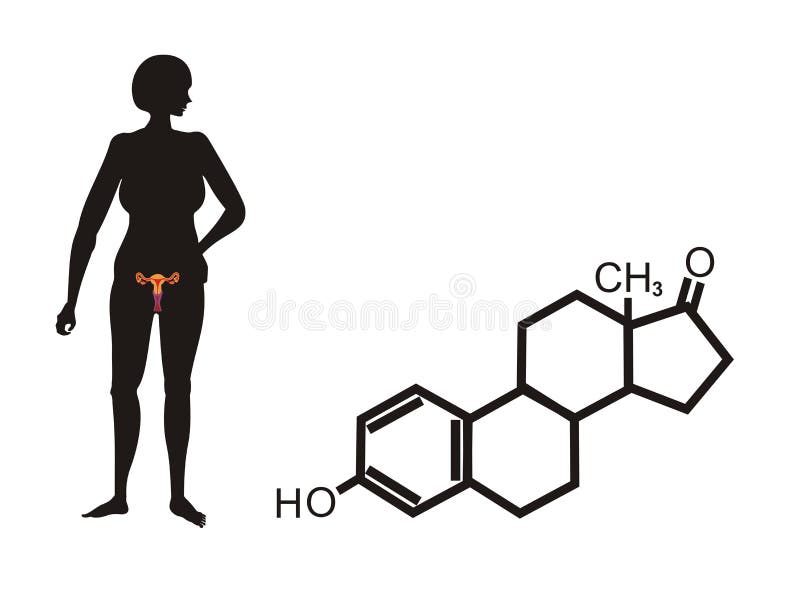Estrogeno illustrazione vettoriale. Illustrazione di estrogeno - 1950961