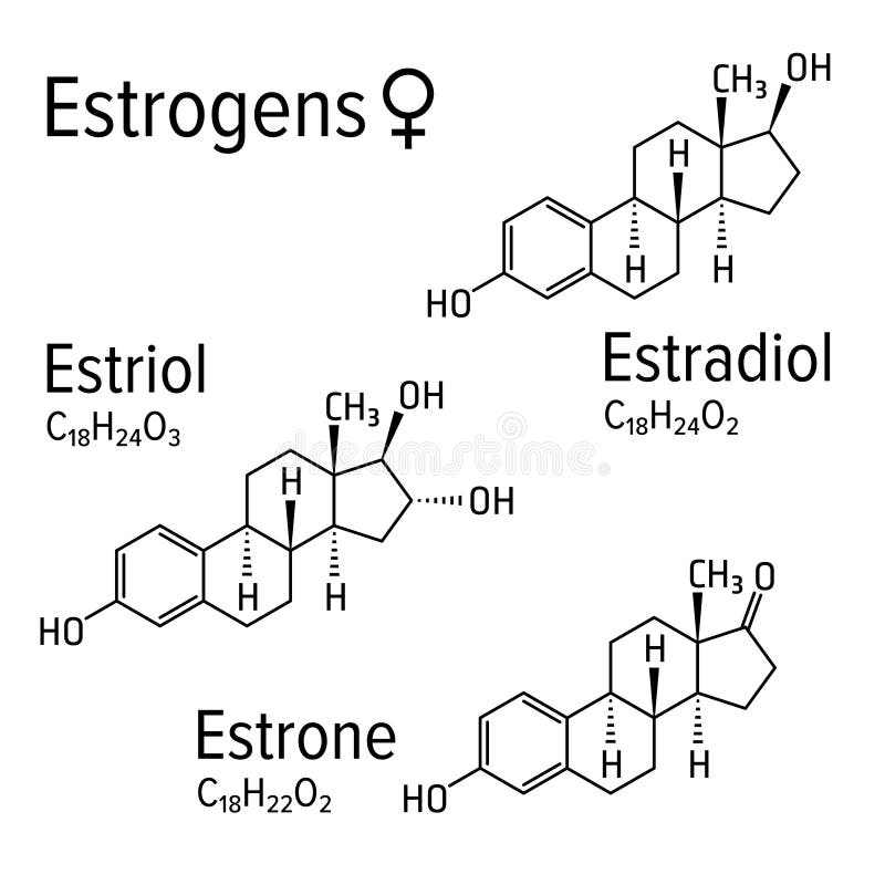 Estrogens Female Hormones Vector Chemical Molecular Formulas Stock
