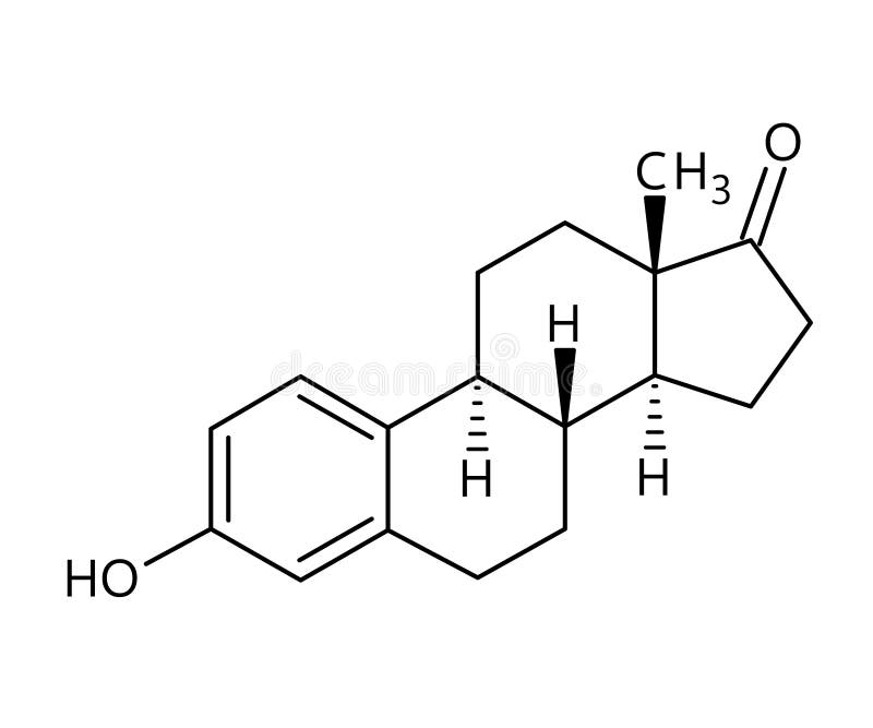 Estrone Structural Formula of Molecular Structure Stock Illustration ...