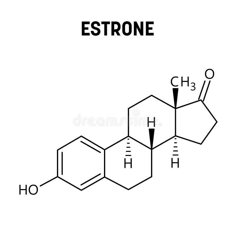 Estrone Structural Formula of Molecular Structure Stock Vector ...