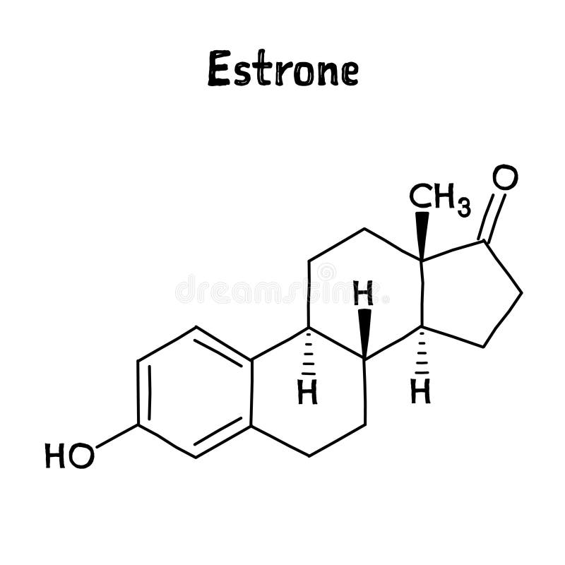 Estrone Structural Formula of Molecular Structure Stock Illustration ...