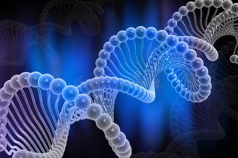 Estructura de la DNA stock de ilustración. Ilustración de genética ...