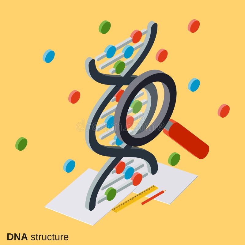 Estructura De La DNA, Ejemplo Del Vector De La Genética Ilustración del ... Estructura De La DNA, Ejemplo Del Vector De La Genética Ilustración del ...