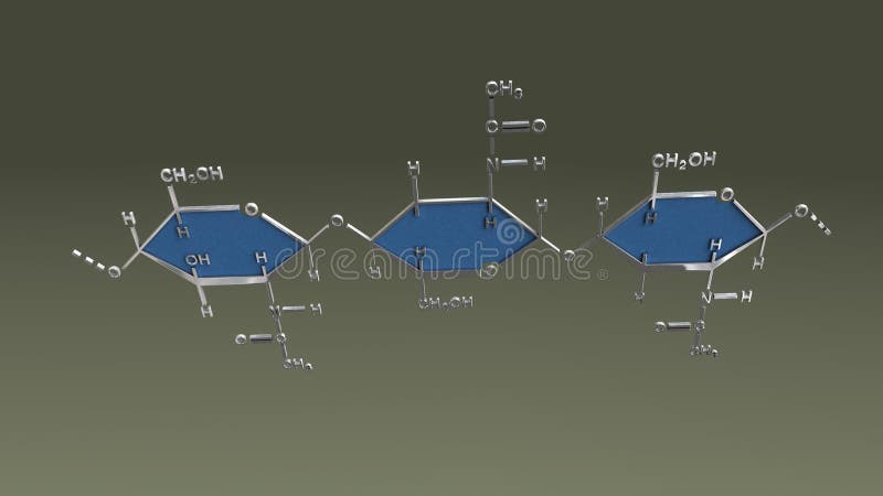 Quitina Ilustraciones Stock, Vectores, Y Clipart – (832 Ilustraciones ...