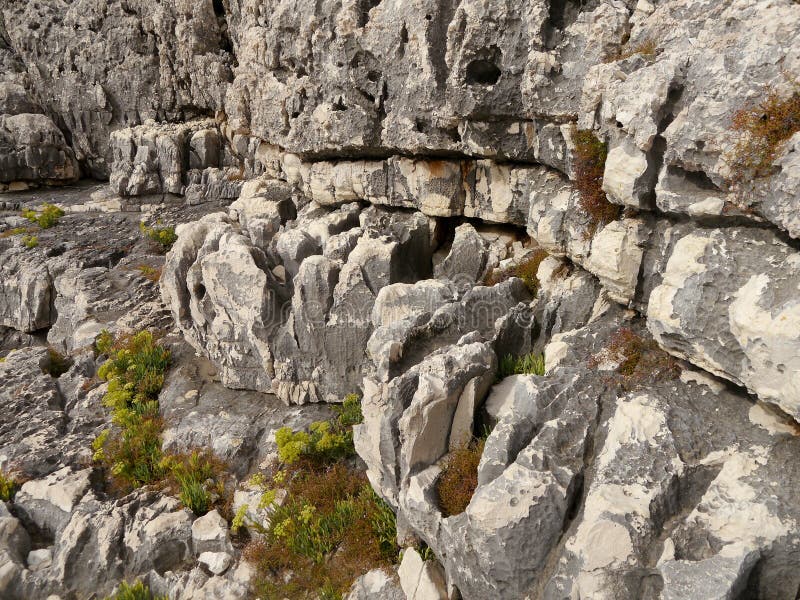 Estructura De La Roca De La Piedra Caliza Imagen de archivo - Imagen de ...
