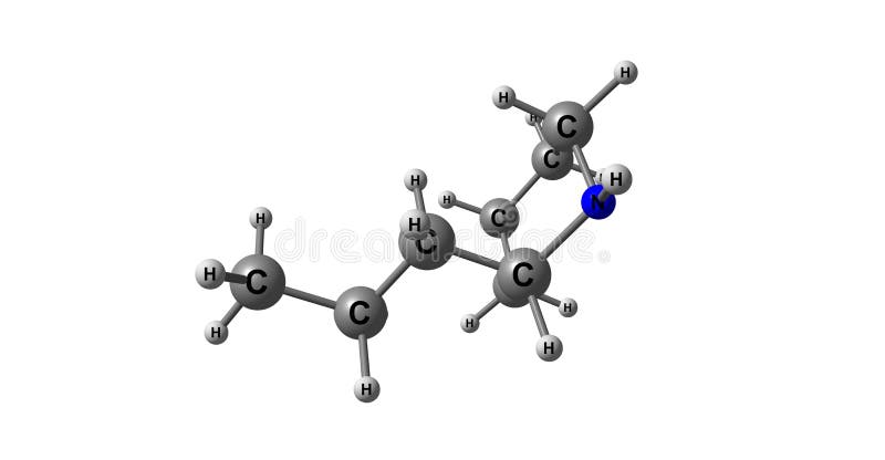 Estructura Molecular De Coniine Aislada En Blanco Stock de ilustración ...
