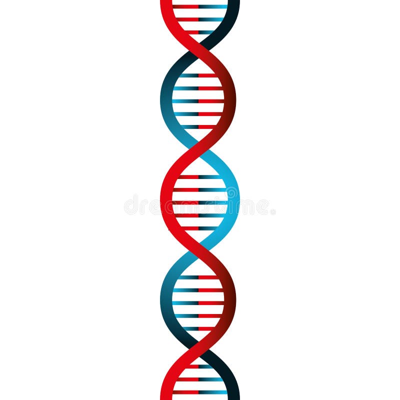 Estructura Molecular De La DNA Ilustración del Vector - Ilustración de ...