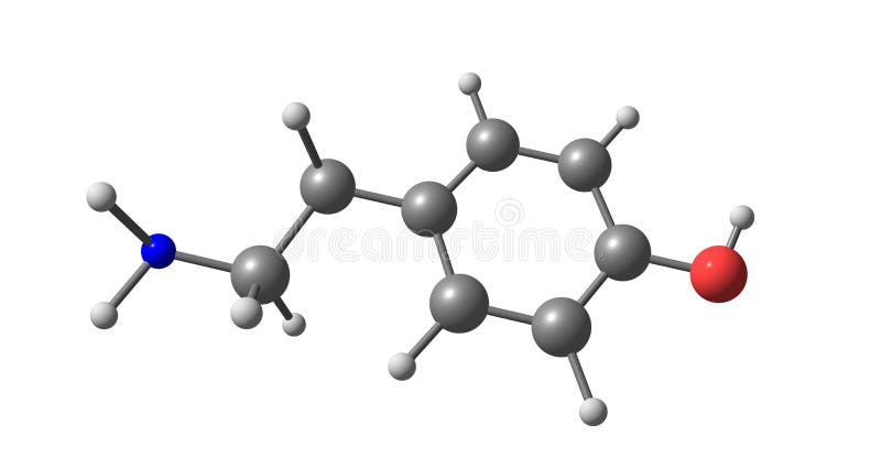 Estructura Molecular De La Tiramina Aislada En Blanco Stock de ...