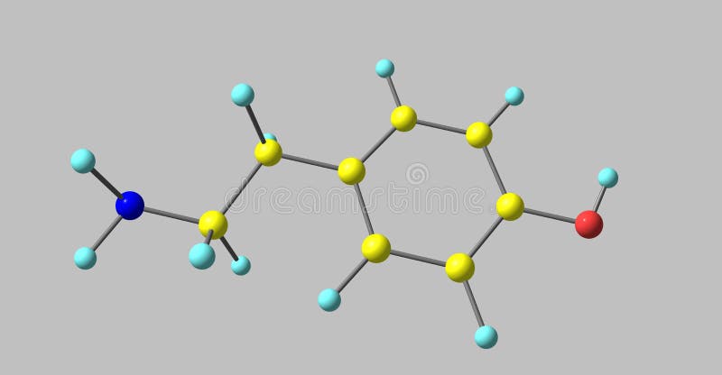Estructura Molecular De La Tiramina Aislada En Gris Stock de ...