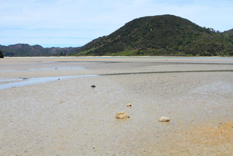 Estuarium stock afbeelding. Image of gebladerte, blauw - 26256285