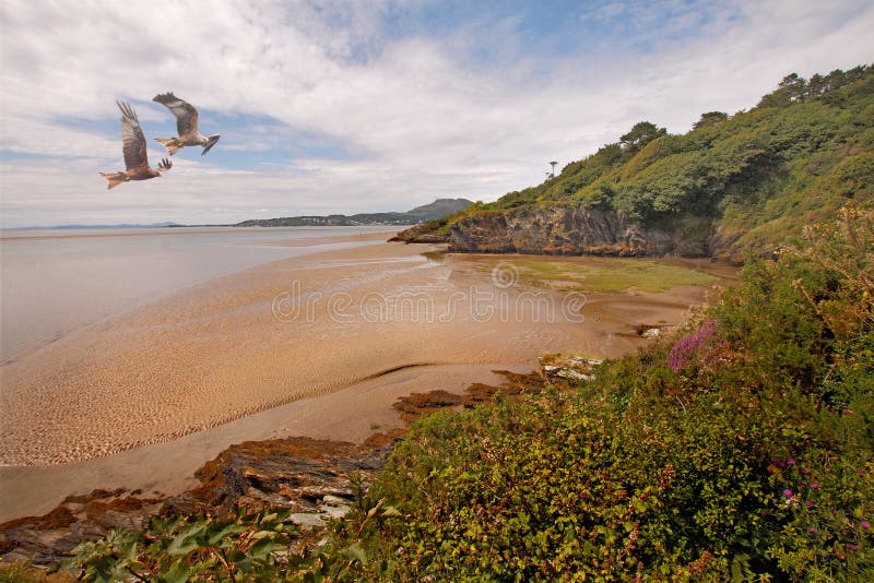 Estuarium in Portmeirion stock afbeelding. Image of zand - 22574119