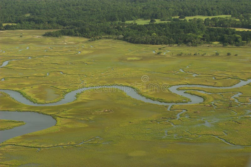 Estuary stock image. Image of swamp, marsh, nature, river - 1078299