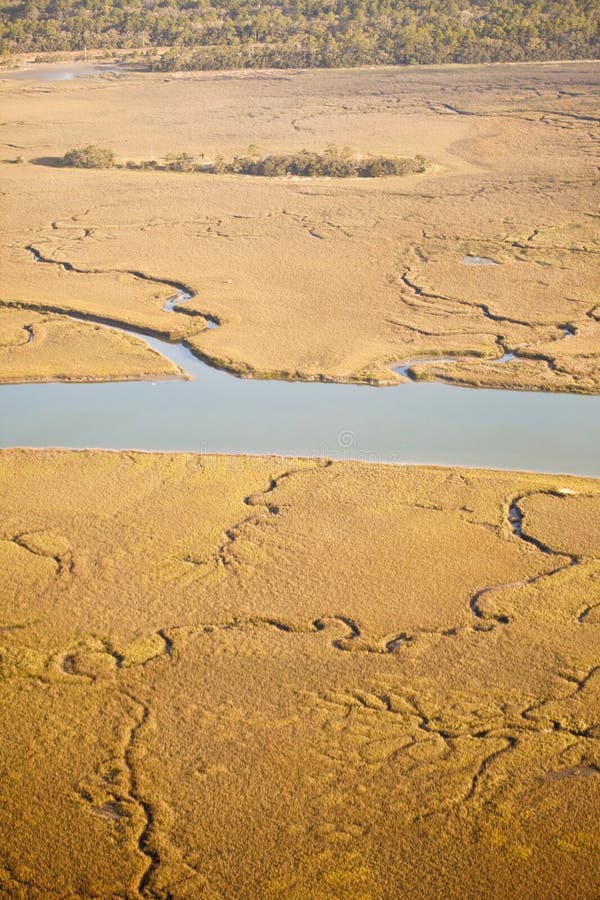 Estuary stock photo. Image of natural, waterfront, morning - 8977514