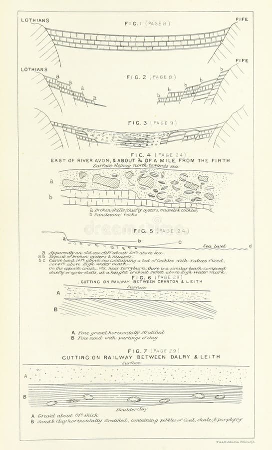 British Library Digitised Image From Page 31 Of "The Estuary Of The ...
