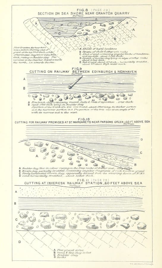 British Library Digitised Image From Page 54 Of "The Estuary Of The ...