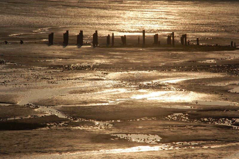 Estuary reflections devon stock image. Image of brown - 19686727