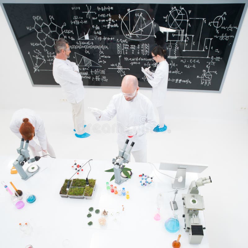 Estudios Experimentales Del Laboratorio Foto de archivo - Imagen de ...