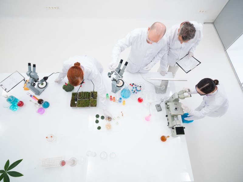 Estudios Experimentales En Un Laboratorio De Química Foto de archivo ...