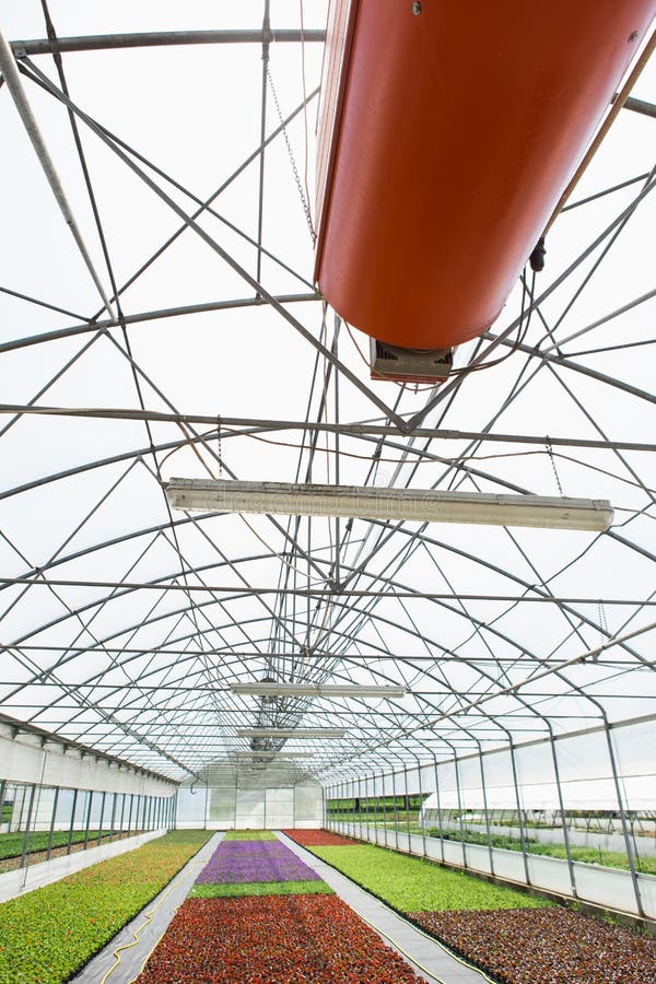 Estufa Com Controle Do Microclima Imagem de Stock - Imagem de flor ...