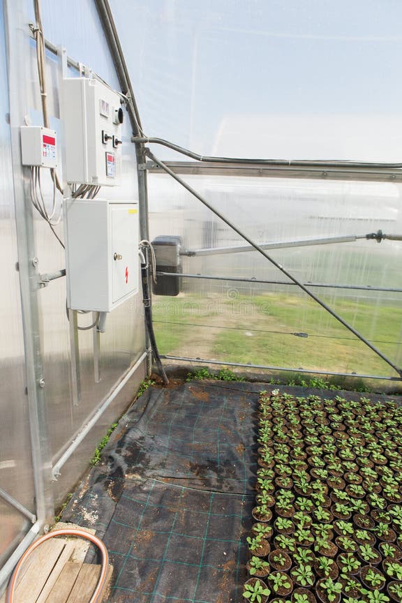 Estufa Com Controle Do Microclima Foto de Stock - Imagem de tecnologia ...