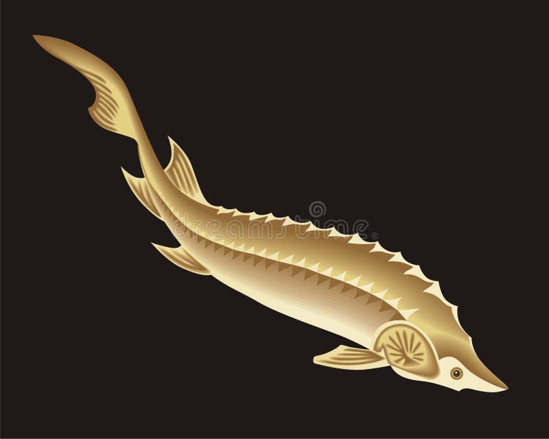 Esturgeon Stock Illustrations, Vecteurs, & Clipart – (1,980 Stock ...