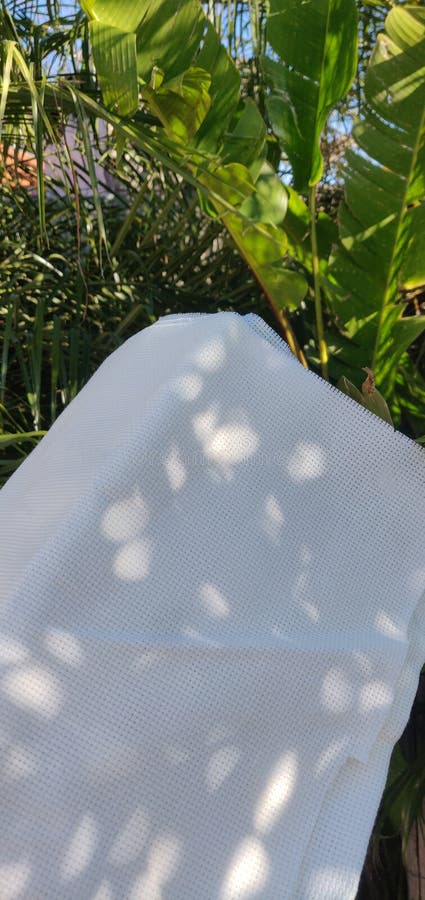 Etamine Fabric in Front of Plants Stock Photo - Image of front, fabric ...