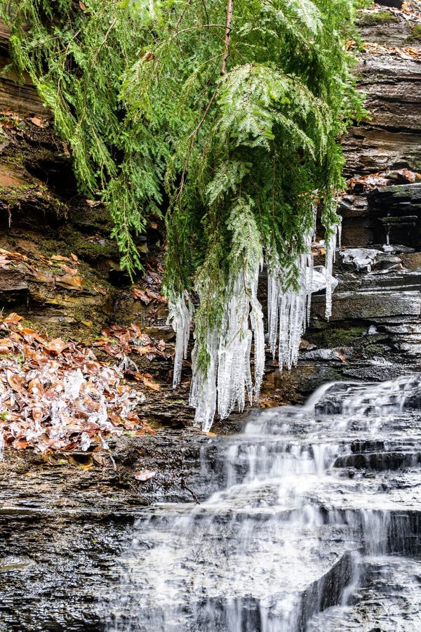 Eternal Flame Falls in Shale Creek Preserve Stock Photo - Image of ... Eternal Flame Falls in Shale Creek Preserve Stock Photo - Image of ...